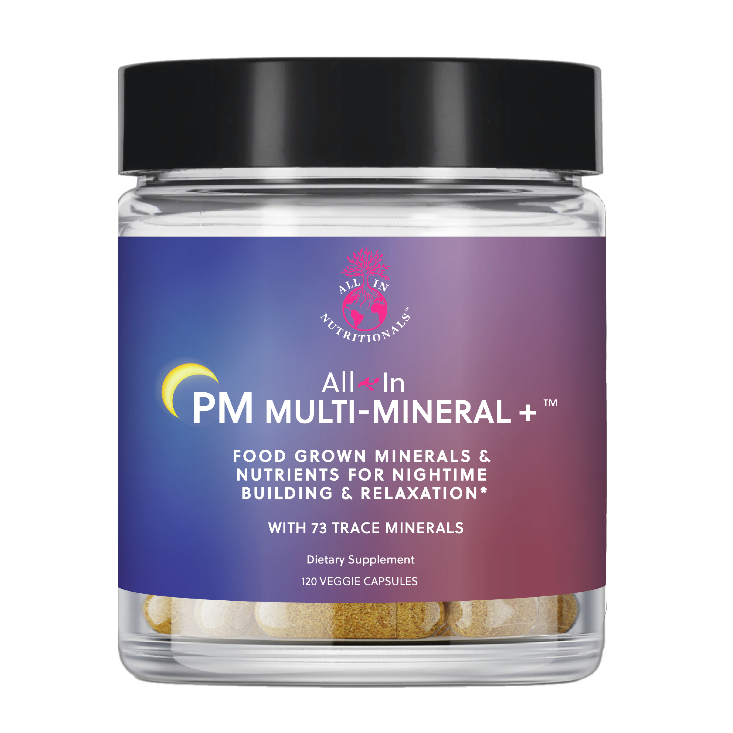 PM Multi-Mineral™ | Nighttime Mineral Supplement | All-In Nutritionals